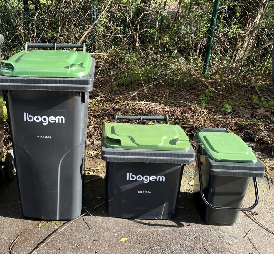 Ibogem